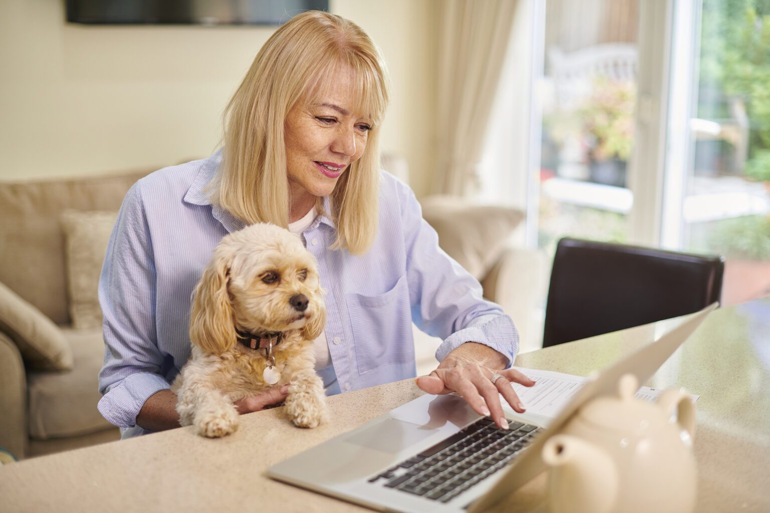 Comprehensive Guide to Pet Insurance: Exploring Top-Rated Companies ...
